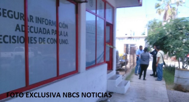 Por robo oficinas de PROFECO abrirán hasta el lunes próximo – Colectivo ...