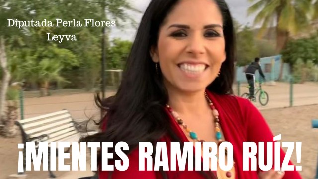 Aclara la diputada Perla Flores Leyva acusaciones DIFAMATORIAS ...